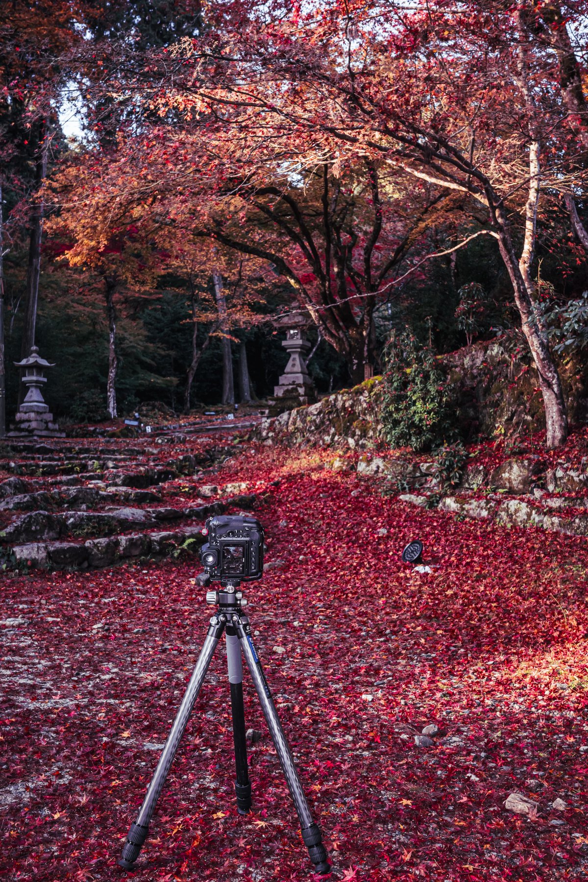 GR3Xはサブ機ではないっ！！｜005 akkiy