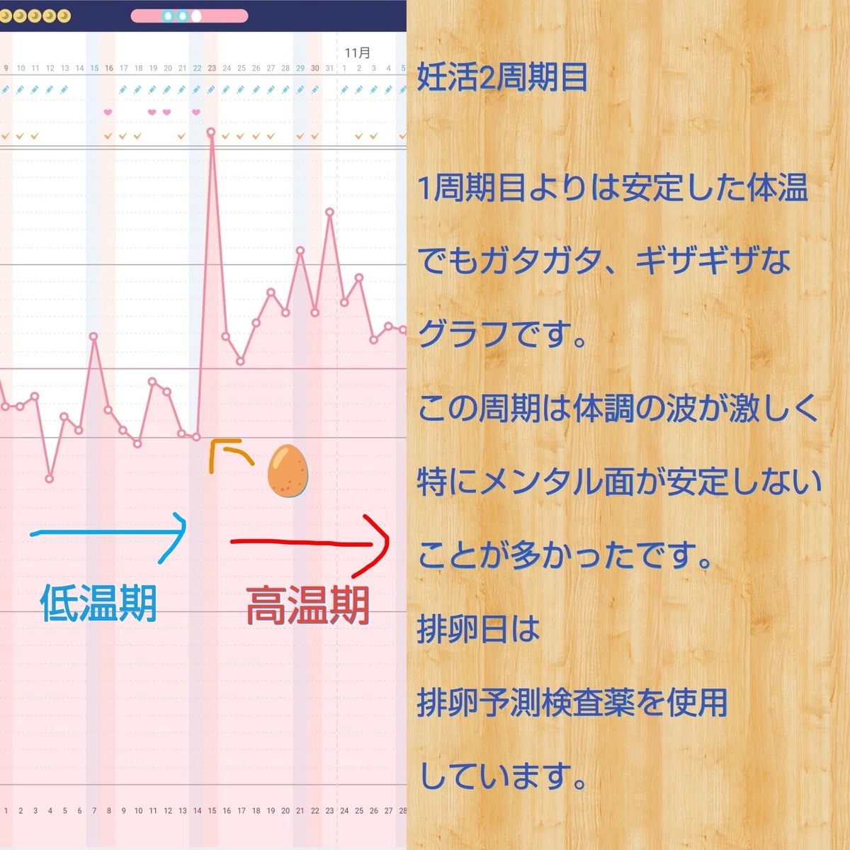 妊活2周期目のまとめ｜35歳から始める妊活 ひな
