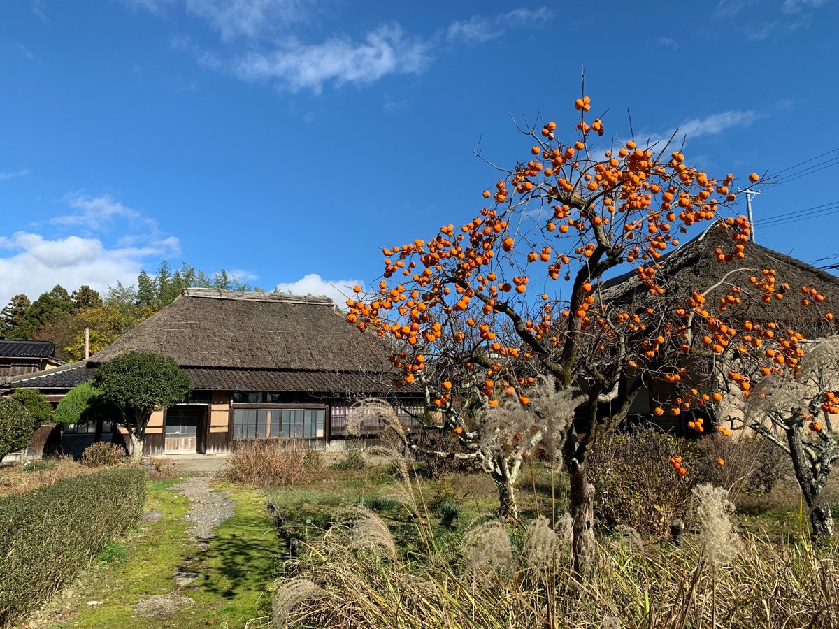 前世リーディングのやり方と裏話｜Chiaki Kamuki