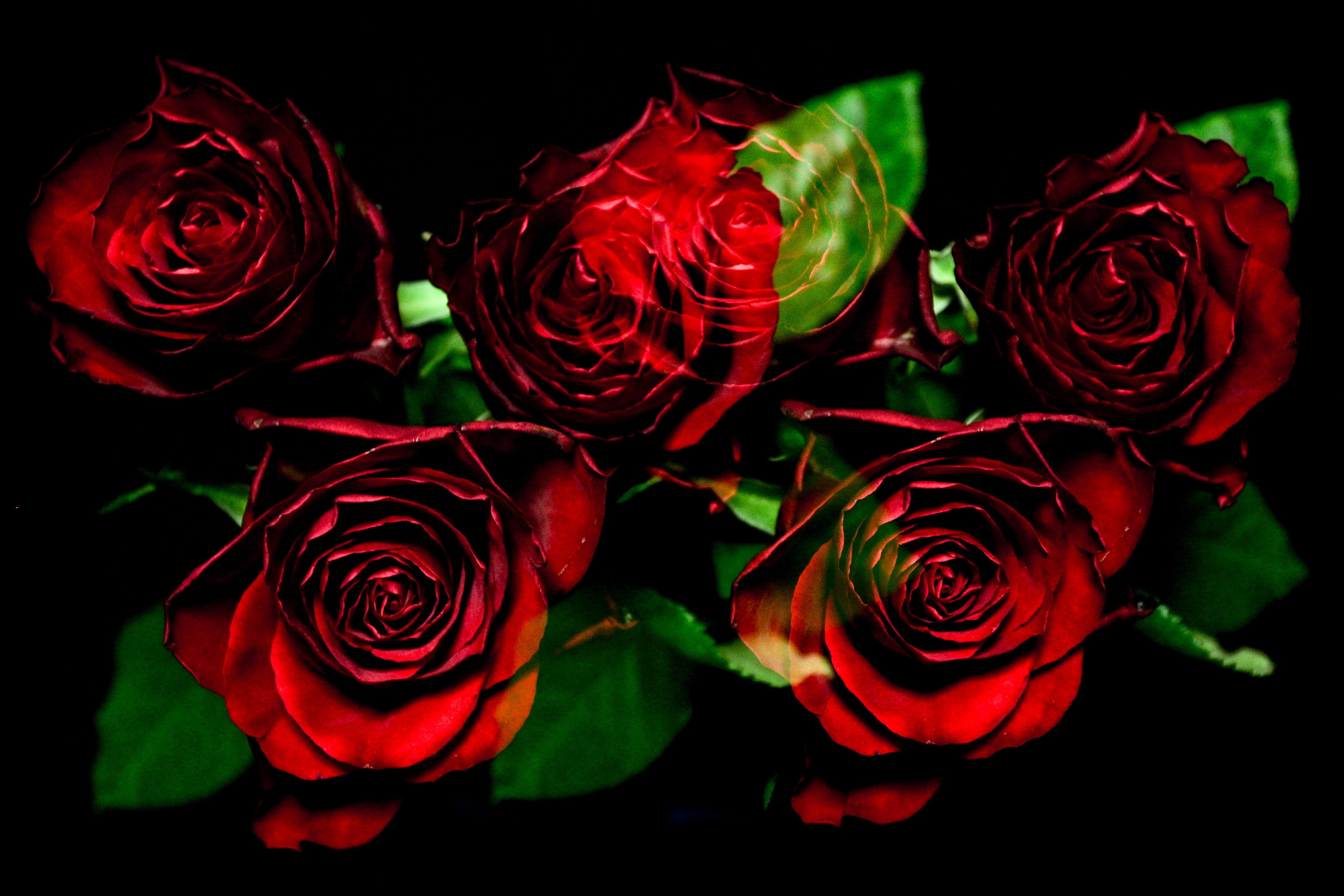 2211XX - 02｜yuki kimura