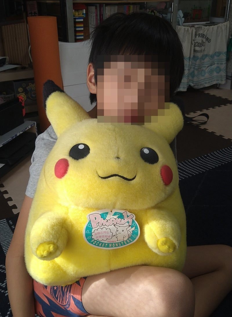 ポケモンアニメから「ふるさと」とふるさと納税について考える｜OgAz/水無瀬あずさ＠副業Webライター