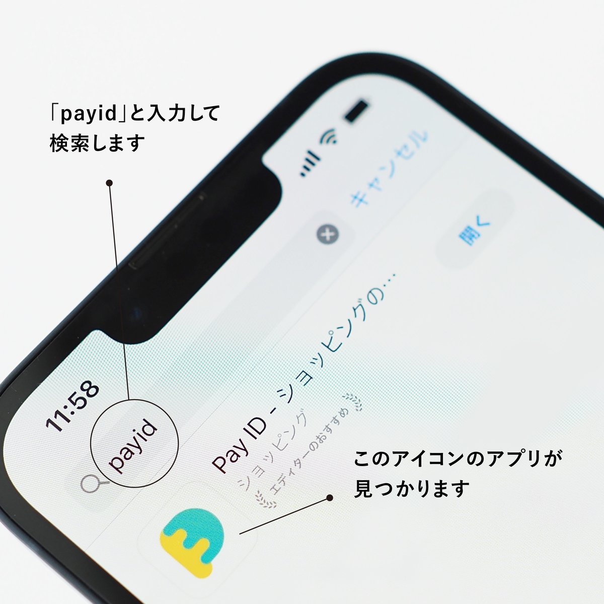会員情報を登録して簡単にお買い物ができる＆購入履歴が確認できるPAYIDの使い方｜ASANEL