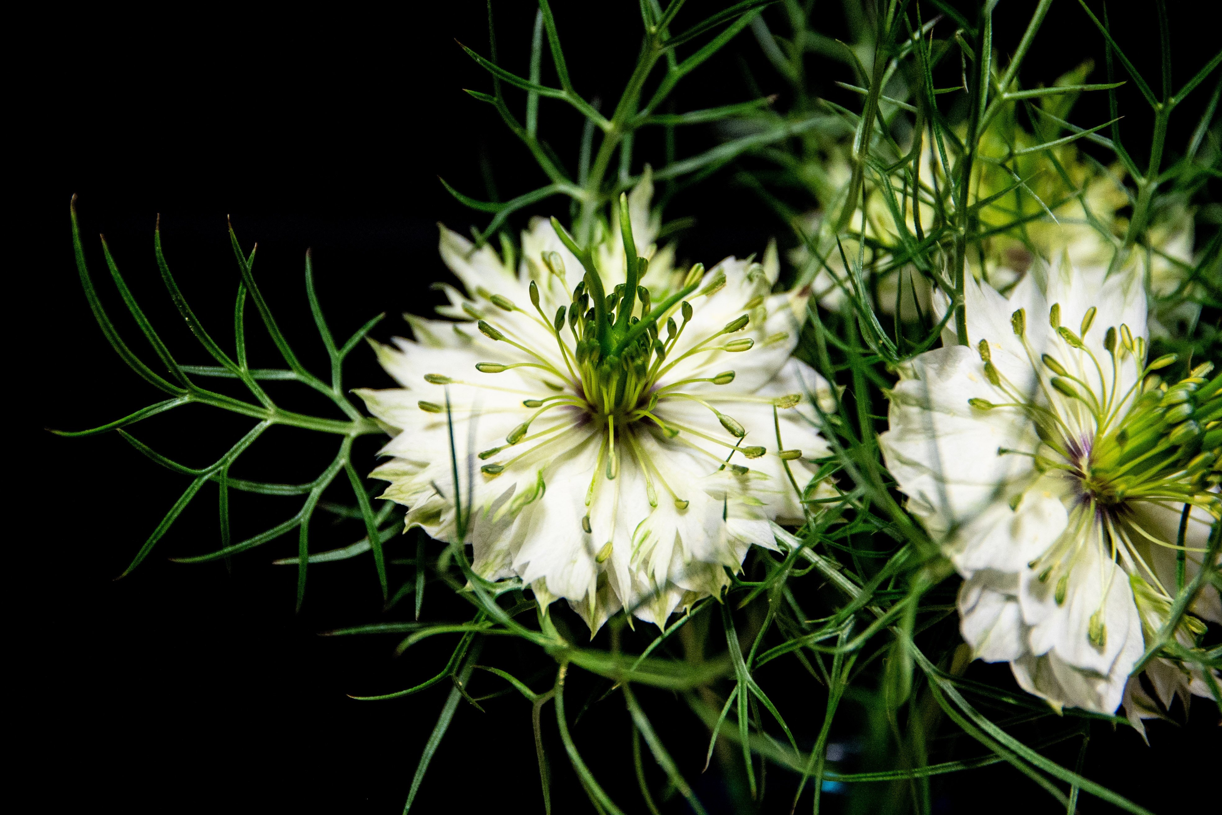 2212XX｜yuki kimura