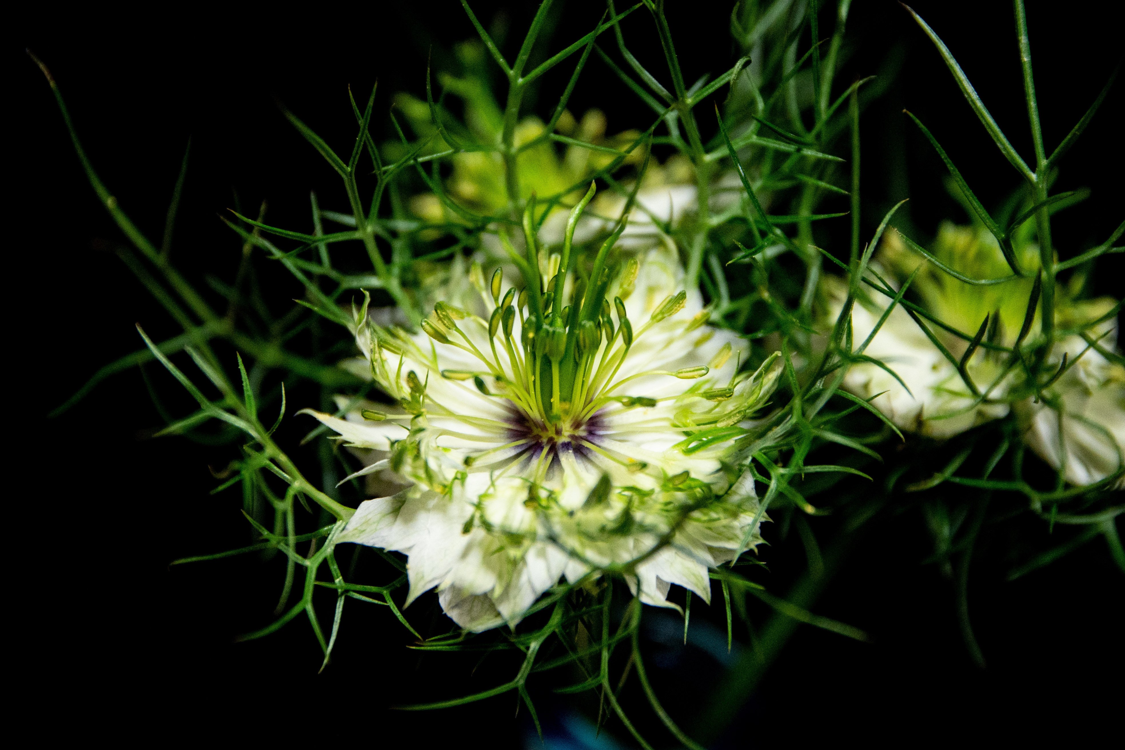 2212XX｜yuki kimura