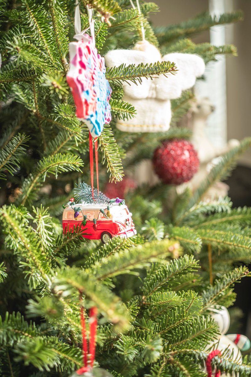 クリスマスツリー ＜LEICA M10-P＞｜MOJA MOJA｜note