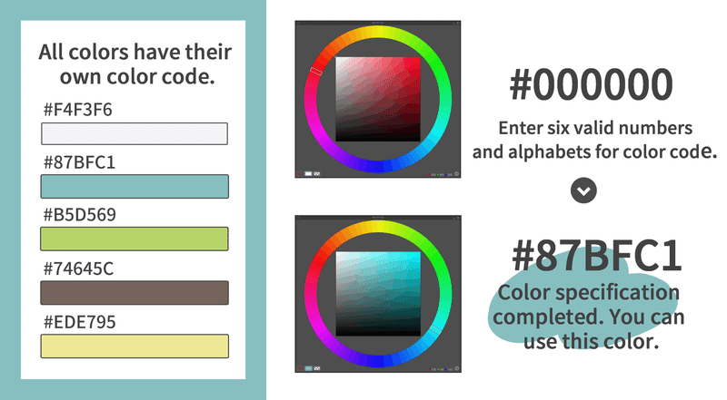 COLOR ｜Haru Minamitani