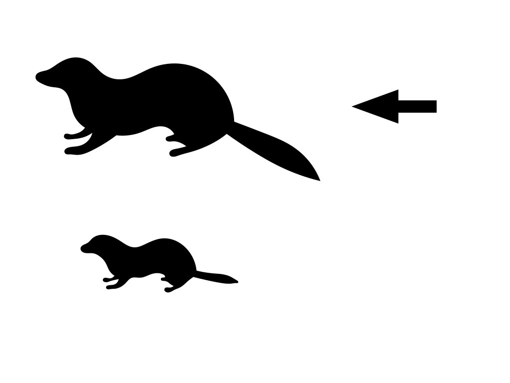 狩猟免許試験（わな猟）を受けてきた話 愛媛ver.｜Ottie Yuichiro