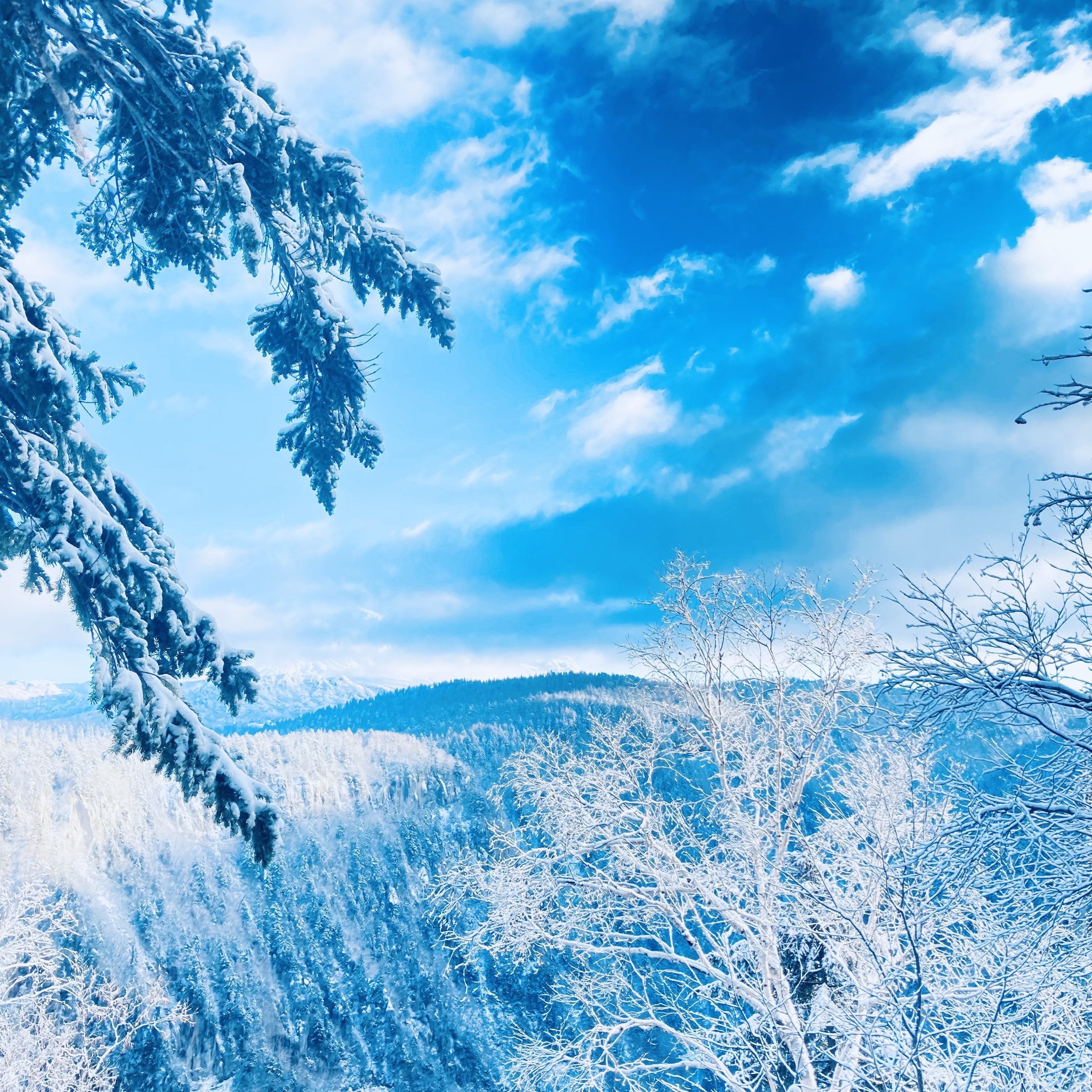 羽衣｜coro 369｜note