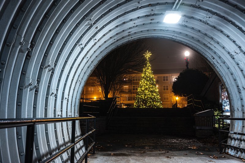 Misty Night Misty Morning ＜LEICA M10-P＞｜MOJA MOJA｜note