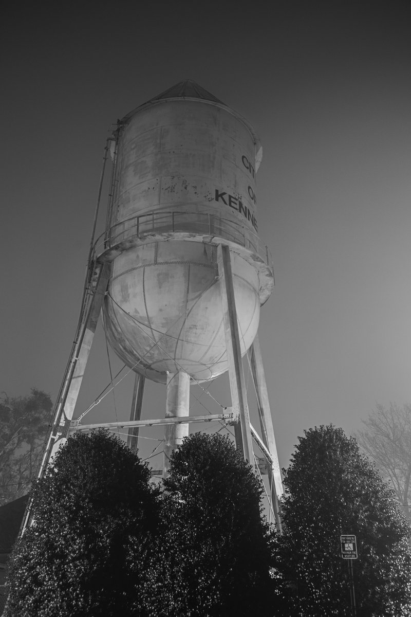 Misty Night Misty Morning ＜LEICA M10-P＞｜MOJA MOJA｜note