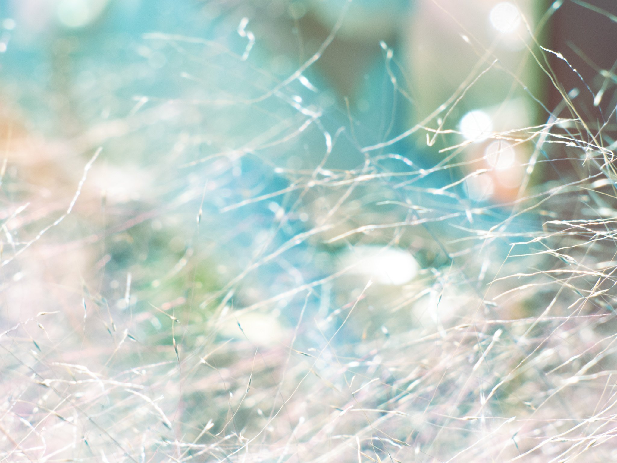 photo log(冬の気配）｜mu note