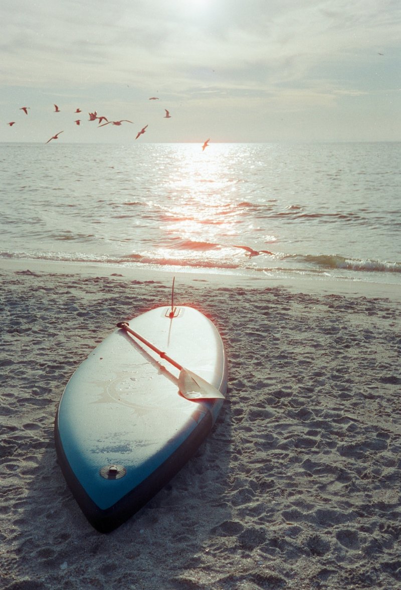 夕陽の道 ＜Rollei 35S＞｜MOJA MOJA｜note