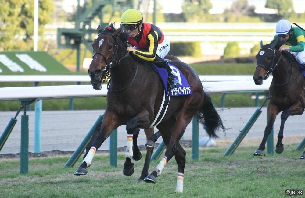 競馬稼業はつらいよ 阪神JF(G1)回顧｜JRDB 競馬アラカルト