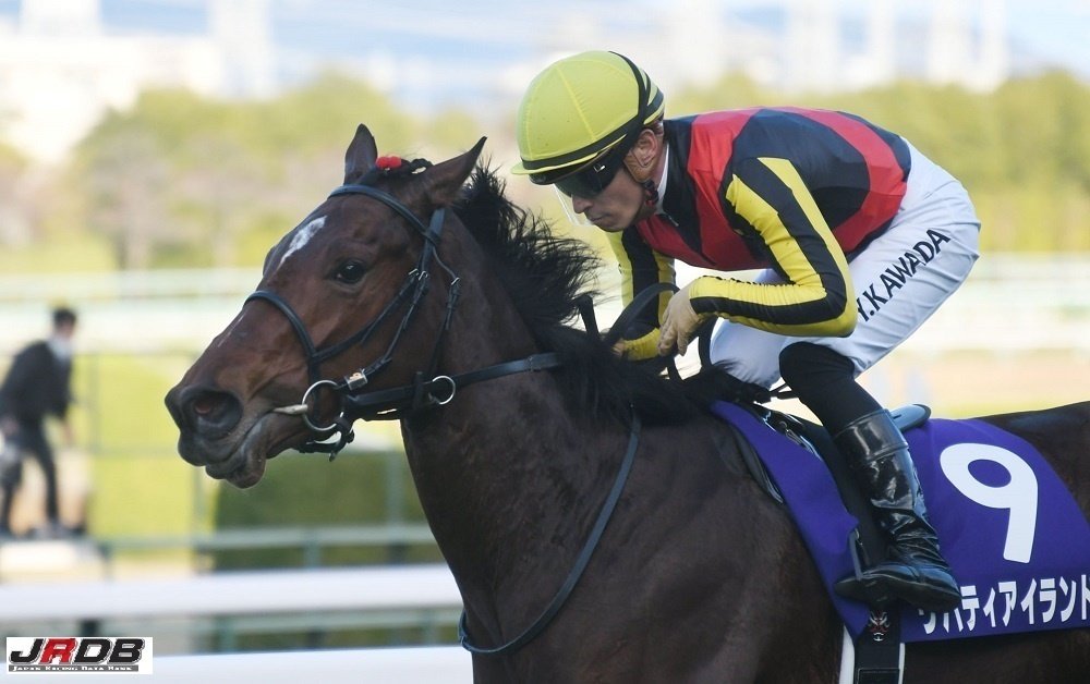 競馬稼業はつらいよ 阪神JF(G1)回顧｜JRDB 競馬アラカルト