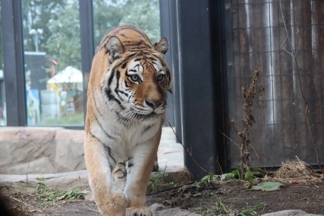 ”地上最強のnoter”｜【習慣応援家shogo】