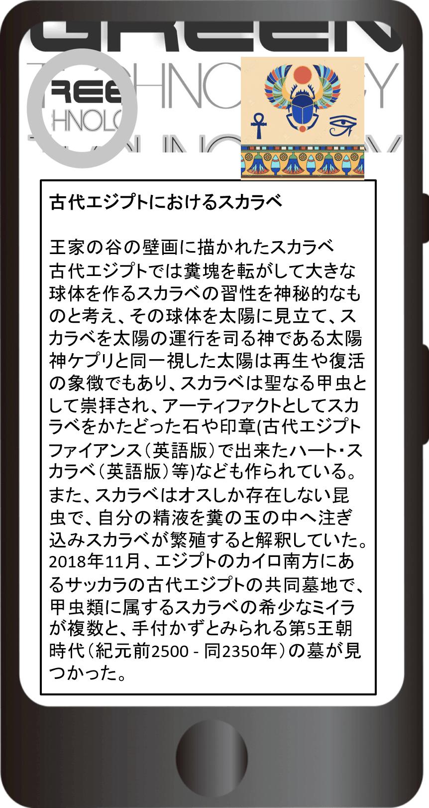 スカラベ｜racoco