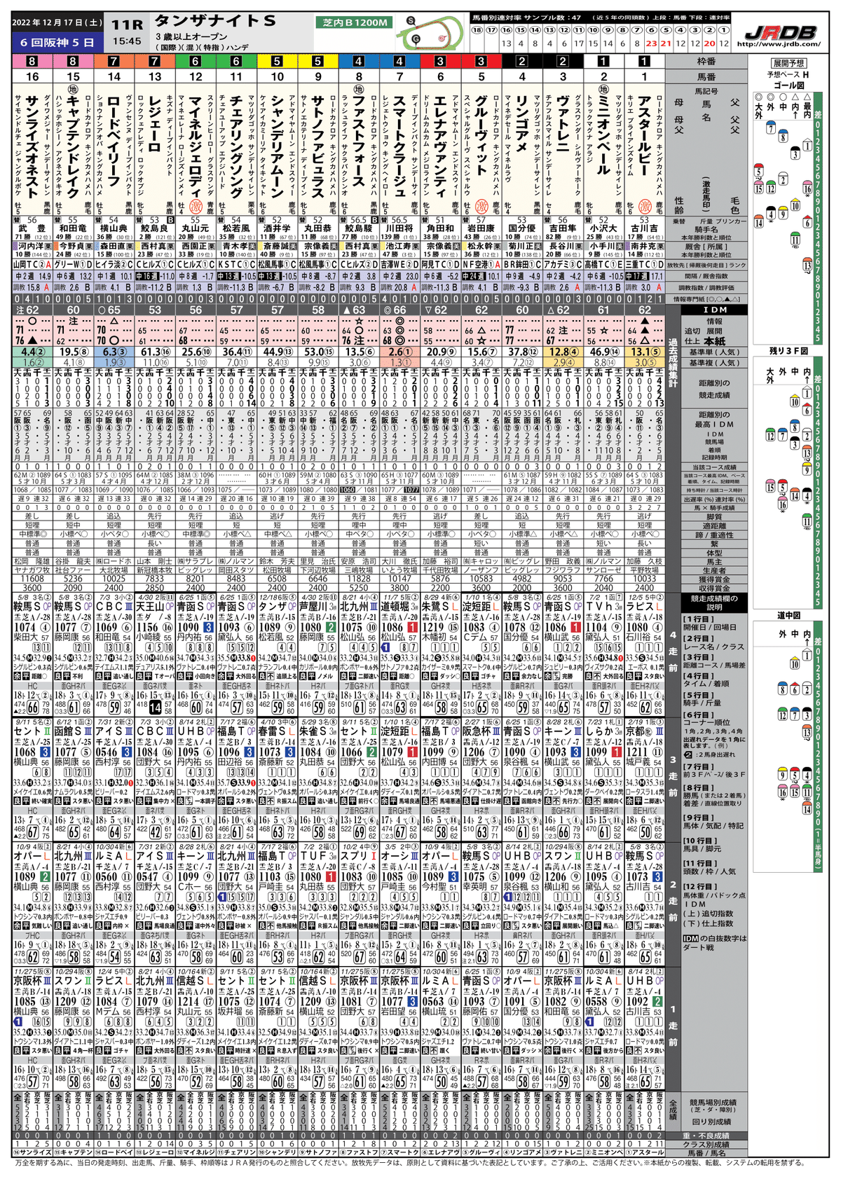 12/17（土）阪神11R タンザナイトS 赤木の予想｜JRDB 競馬アラカルト