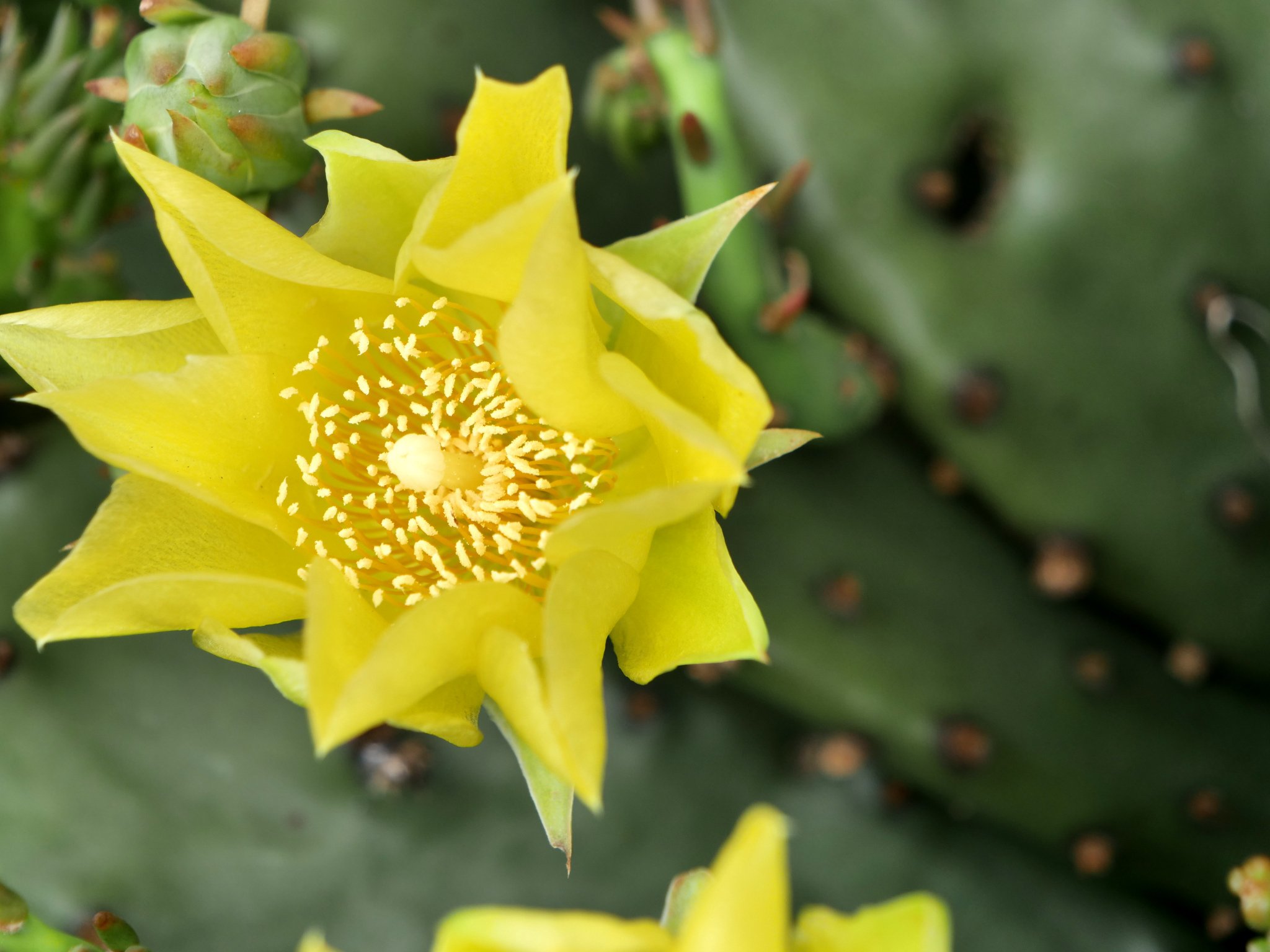 いろいろ撮りためた画像｜team_ueno｜note