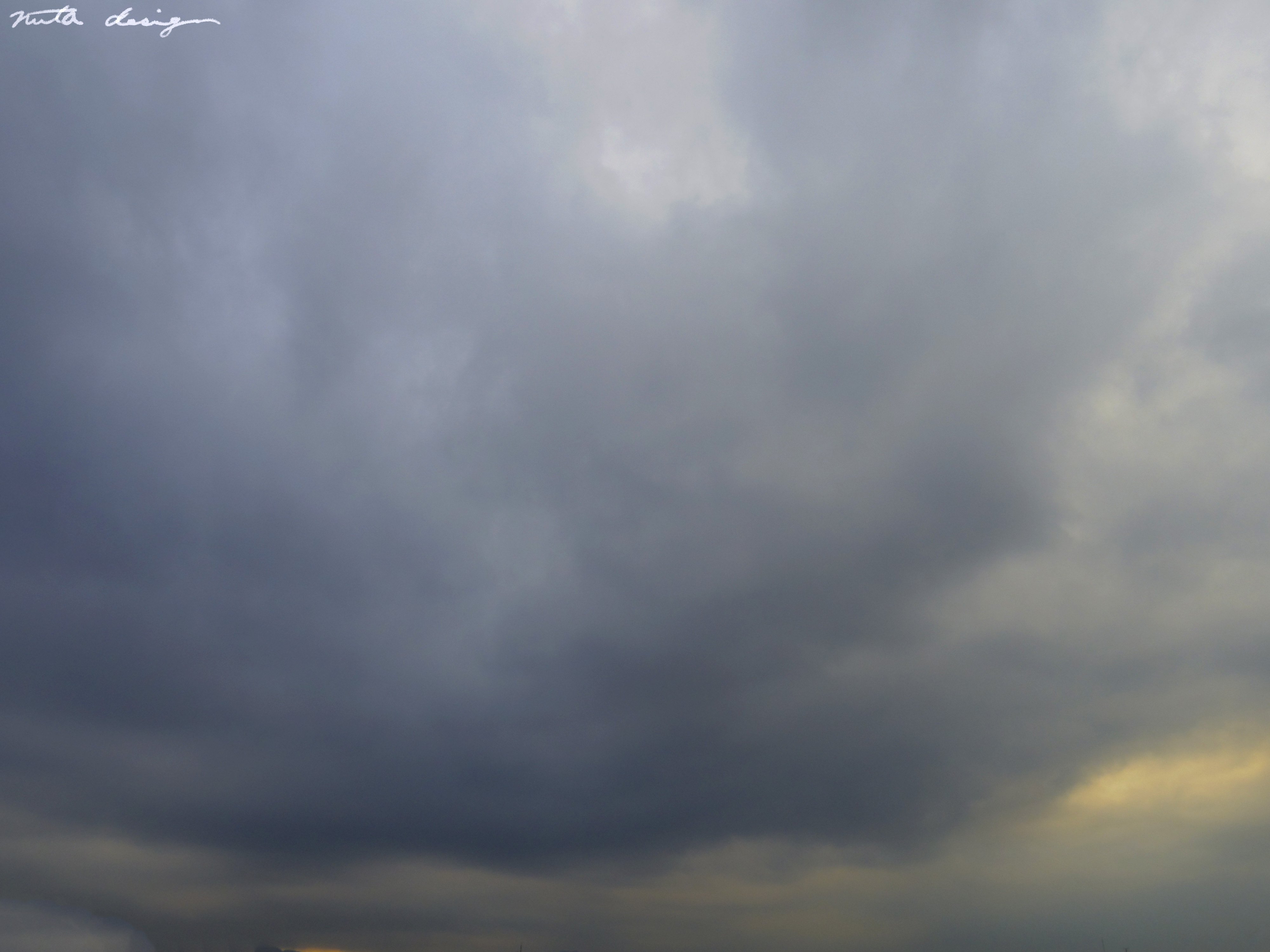 しかもひえひえ｜nuta design