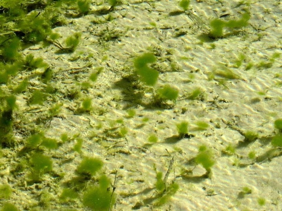 2003年の写真｜team_ueno｜note