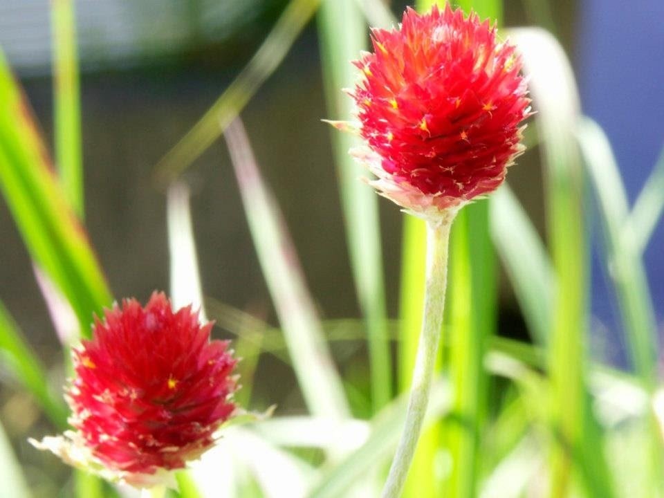 2003年の写真｜team_ueno｜note