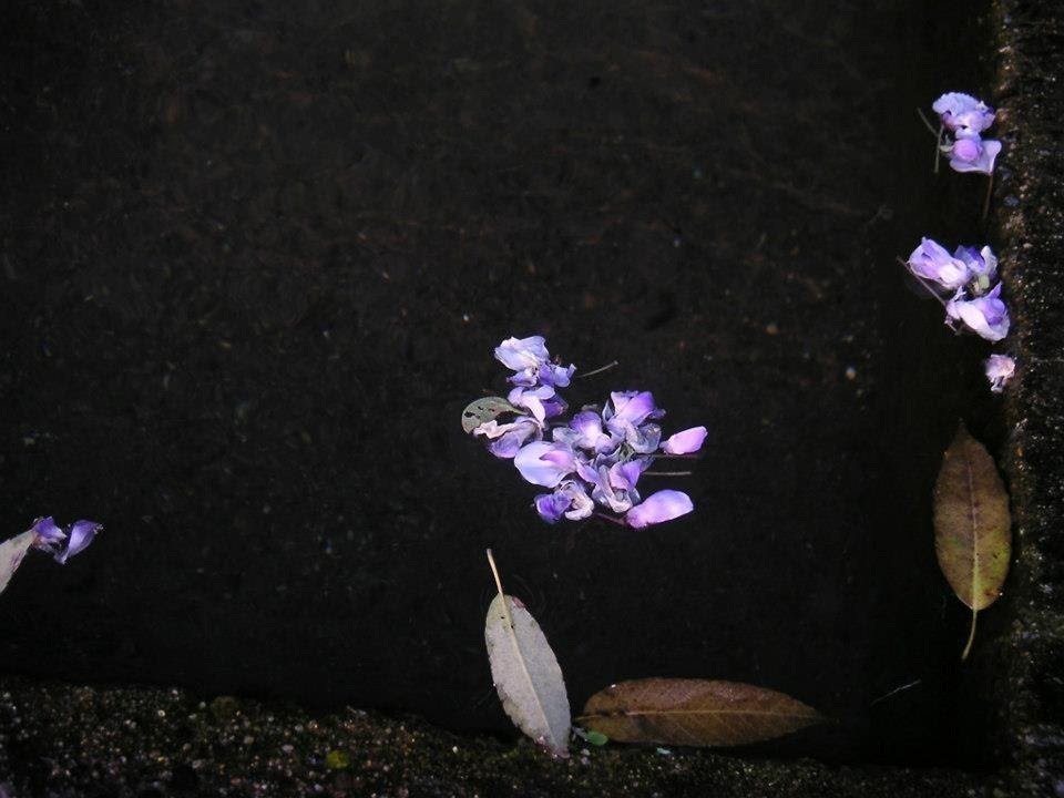 2003年の写真｜team_ueno｜note