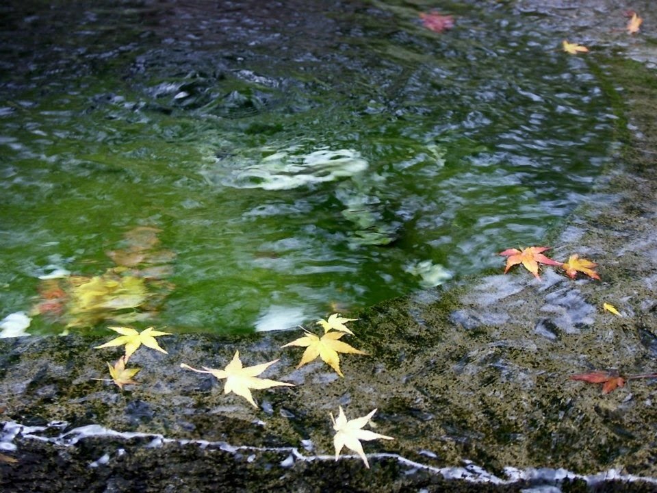 2003年の写真｜team_ueno｜note