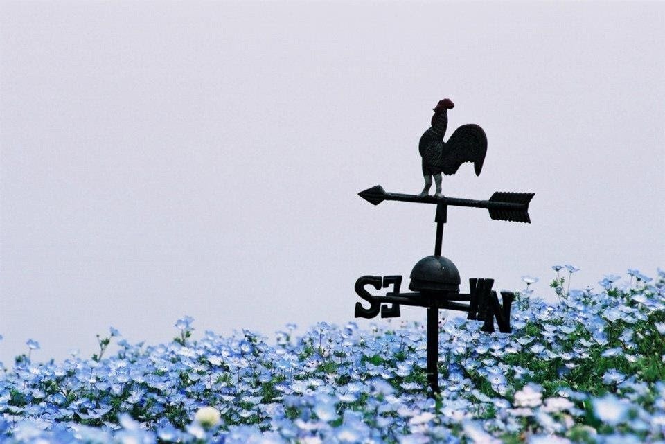 2003年の写真｜team_ueno｜note