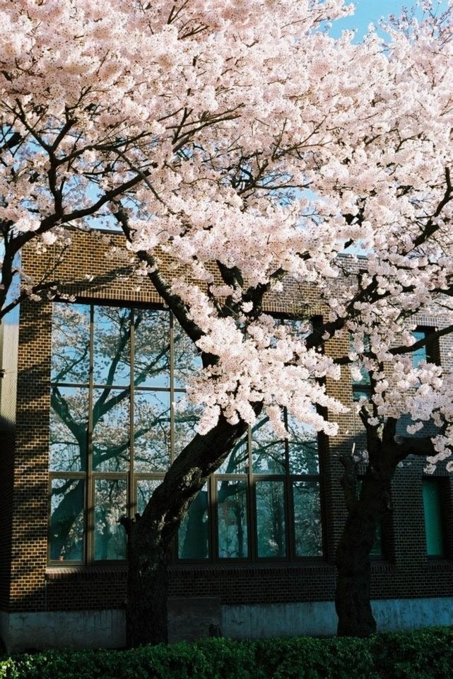 2003年の写真｜team_ueno｜note