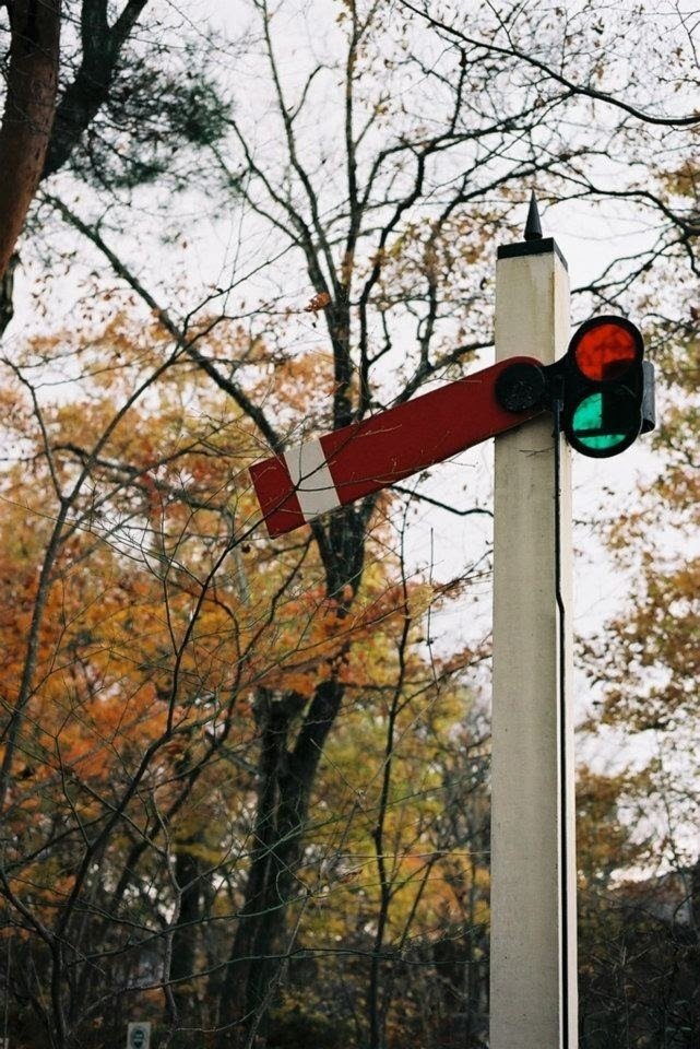 2003年の写真｜team_ueno｜note