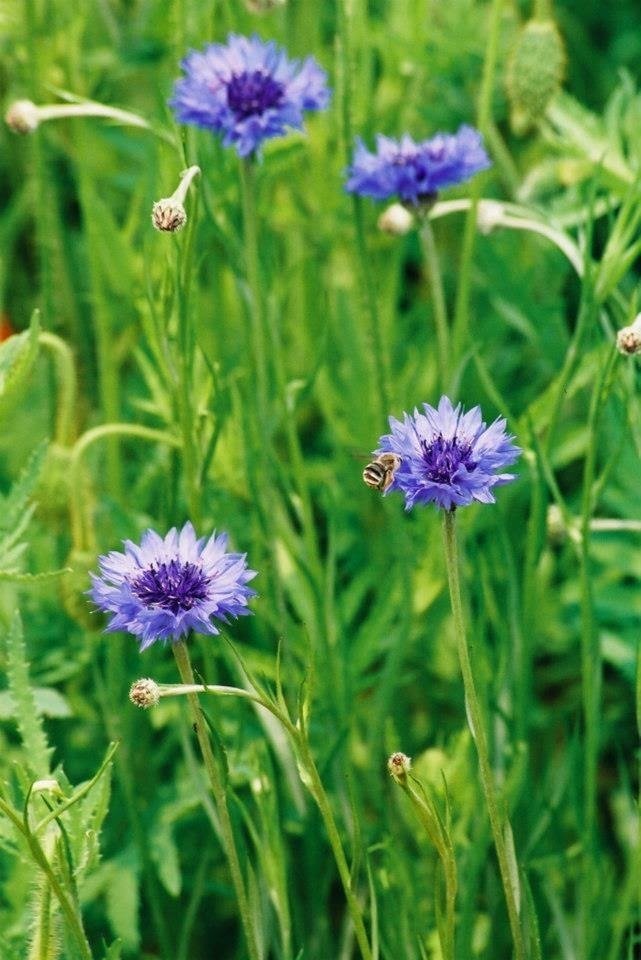 2003年の写真｜team_ueno｜note