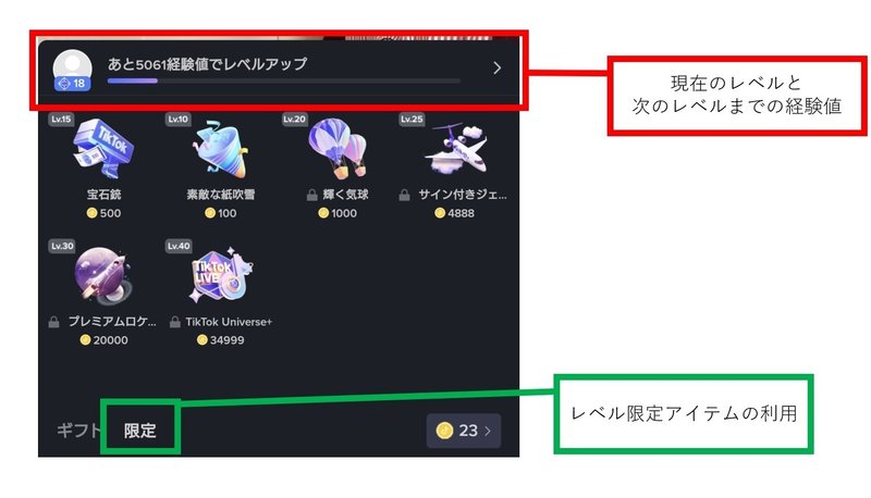 TikTok Live Gifter Level Up Program｜ほげたろ