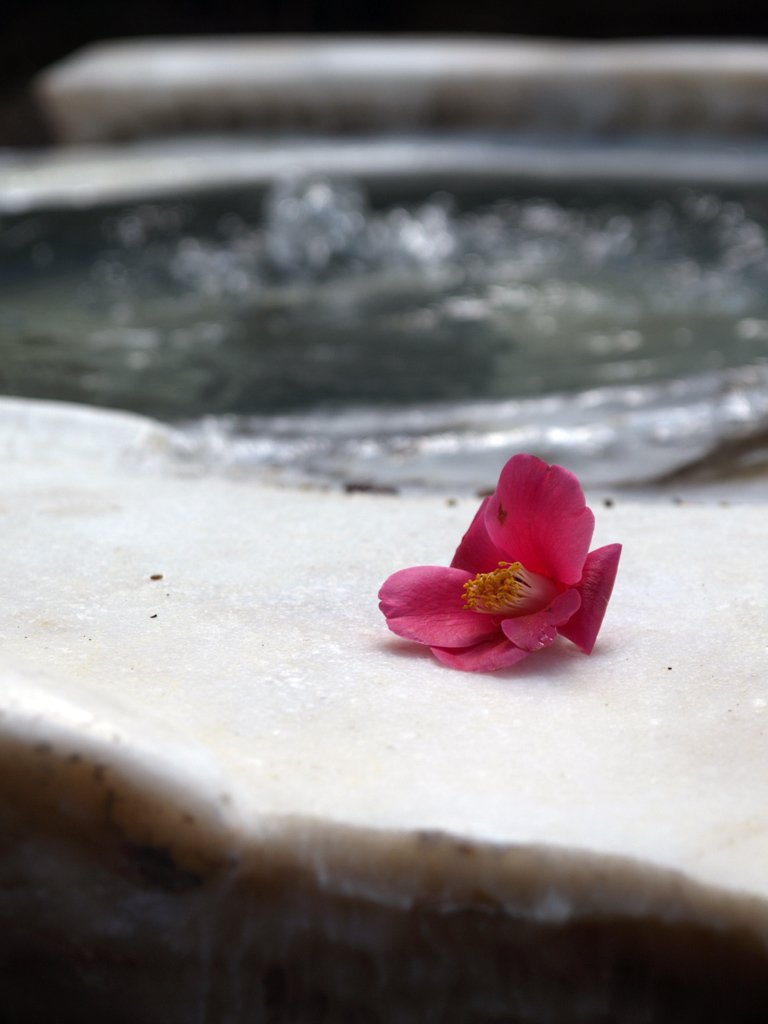 2004年の写真｜team_ueno｜note