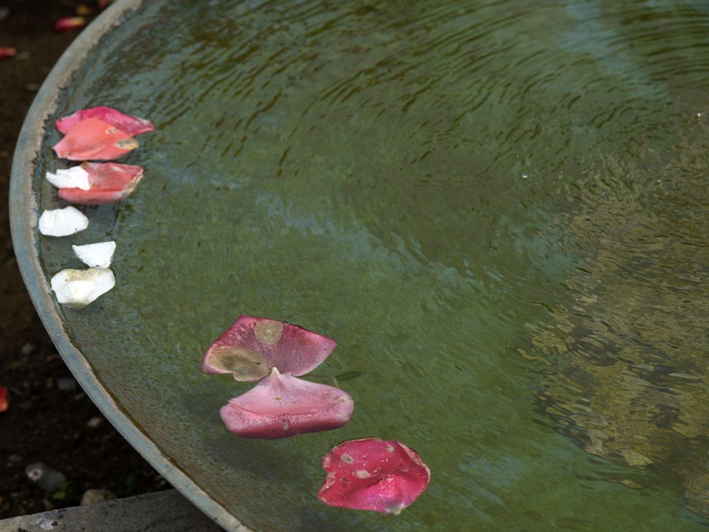 2004年の写真｜team_ueno｜note