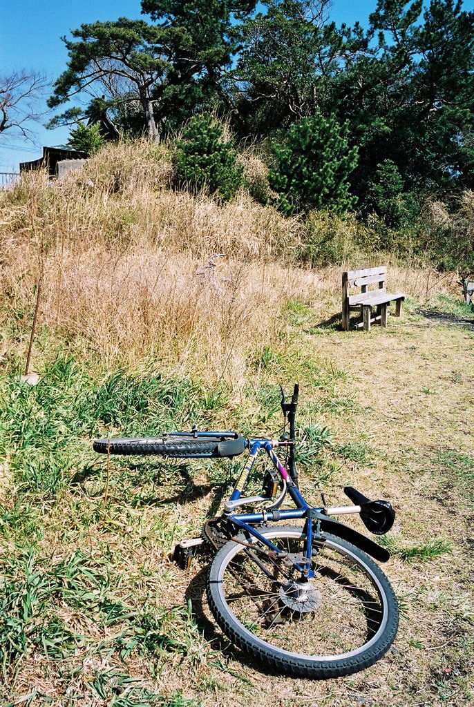 2004年の写真｜team_ueno｜note