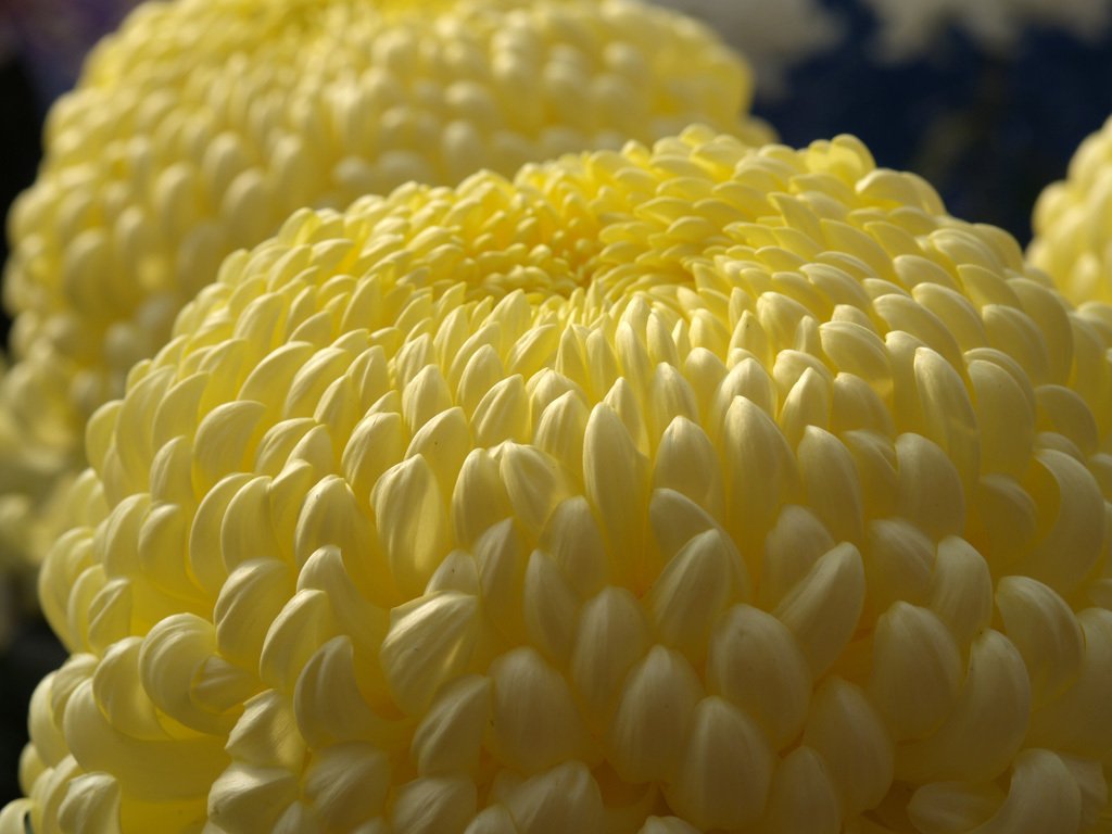 2004年の写真｜team_ueno｜note