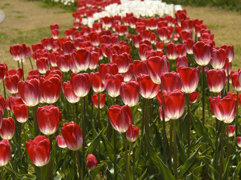 2004年の写真｜team_ueno｜note