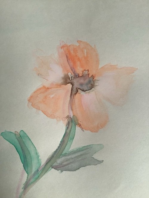 美しい人｜akkiy☆｜note