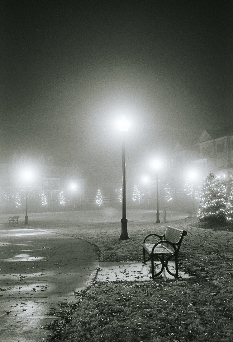 霧の日 ＜週末自家現像＞｜MOJA MOJA｜note