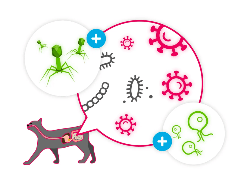 2023年継続トレンド「Pet Humanization=ペットの家族化/人間化」とビジネス機会｜海外の最新ペットビジネスに詳しくなれるnote