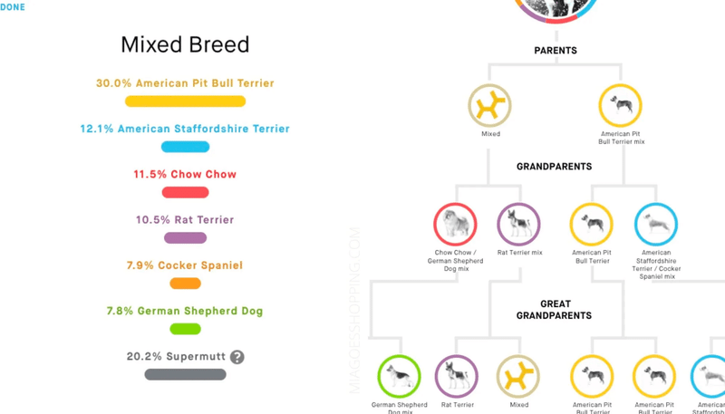 2023年継続トレンド「Pet Humanization=ペットの家族化/人間化」とビジネス機会｜海外の最新ペットビジネスに詳しくなれるnote