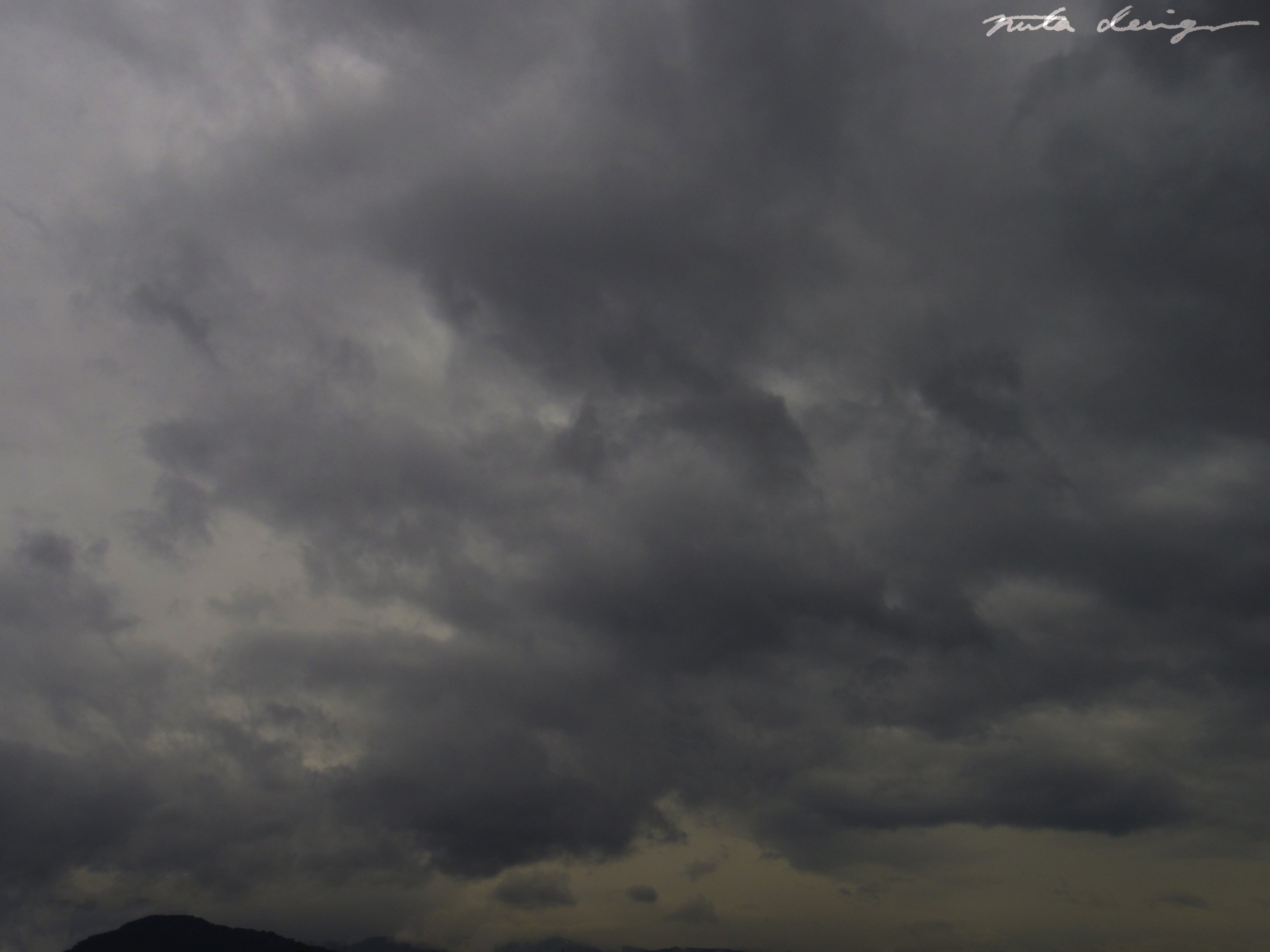 冬っぽいと言えばそうなのだけども｜nuta design