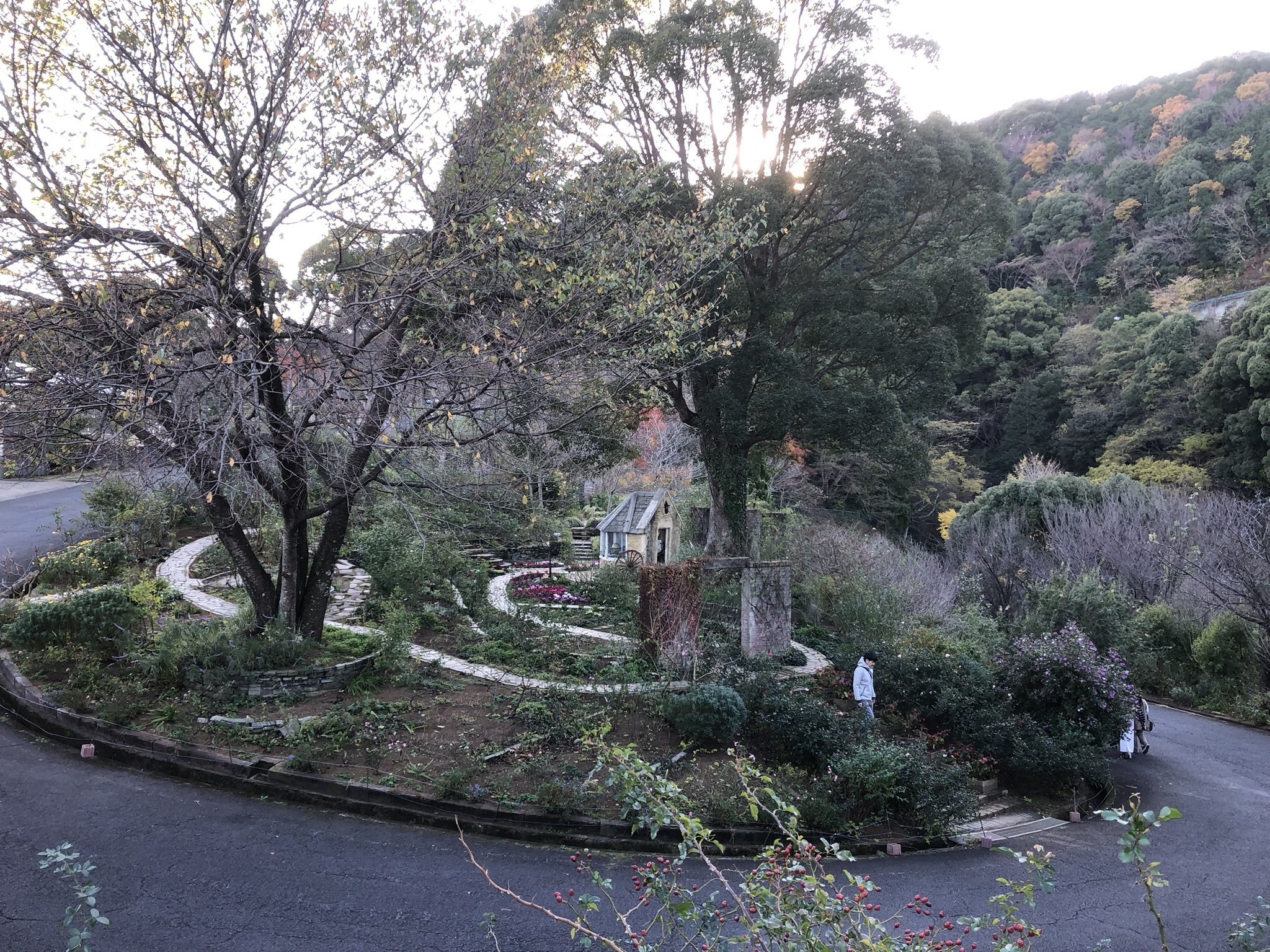 ACAO FORESTにて｜poporin｜note