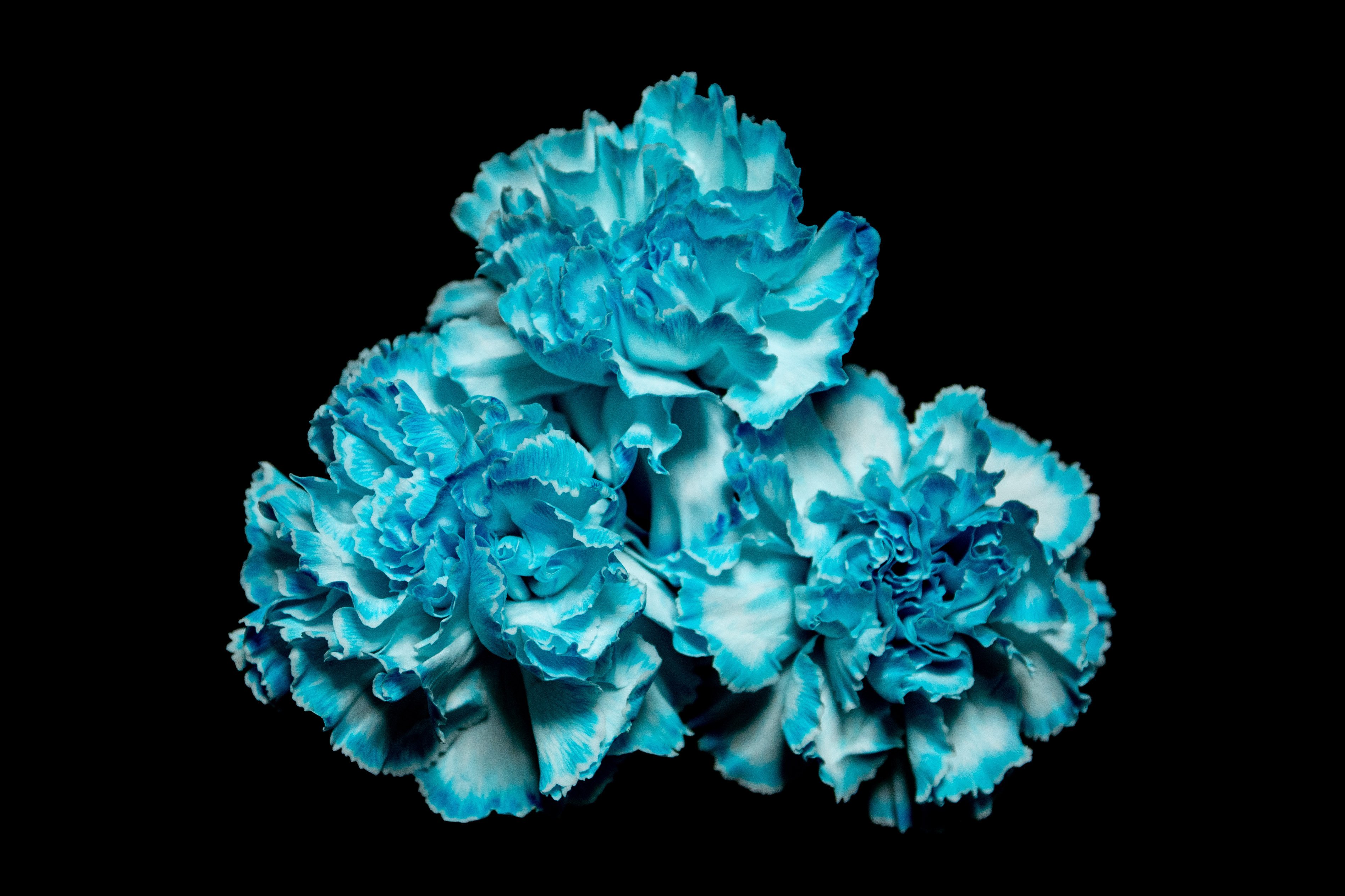 2212XX - 03｜yuki kimura｜note