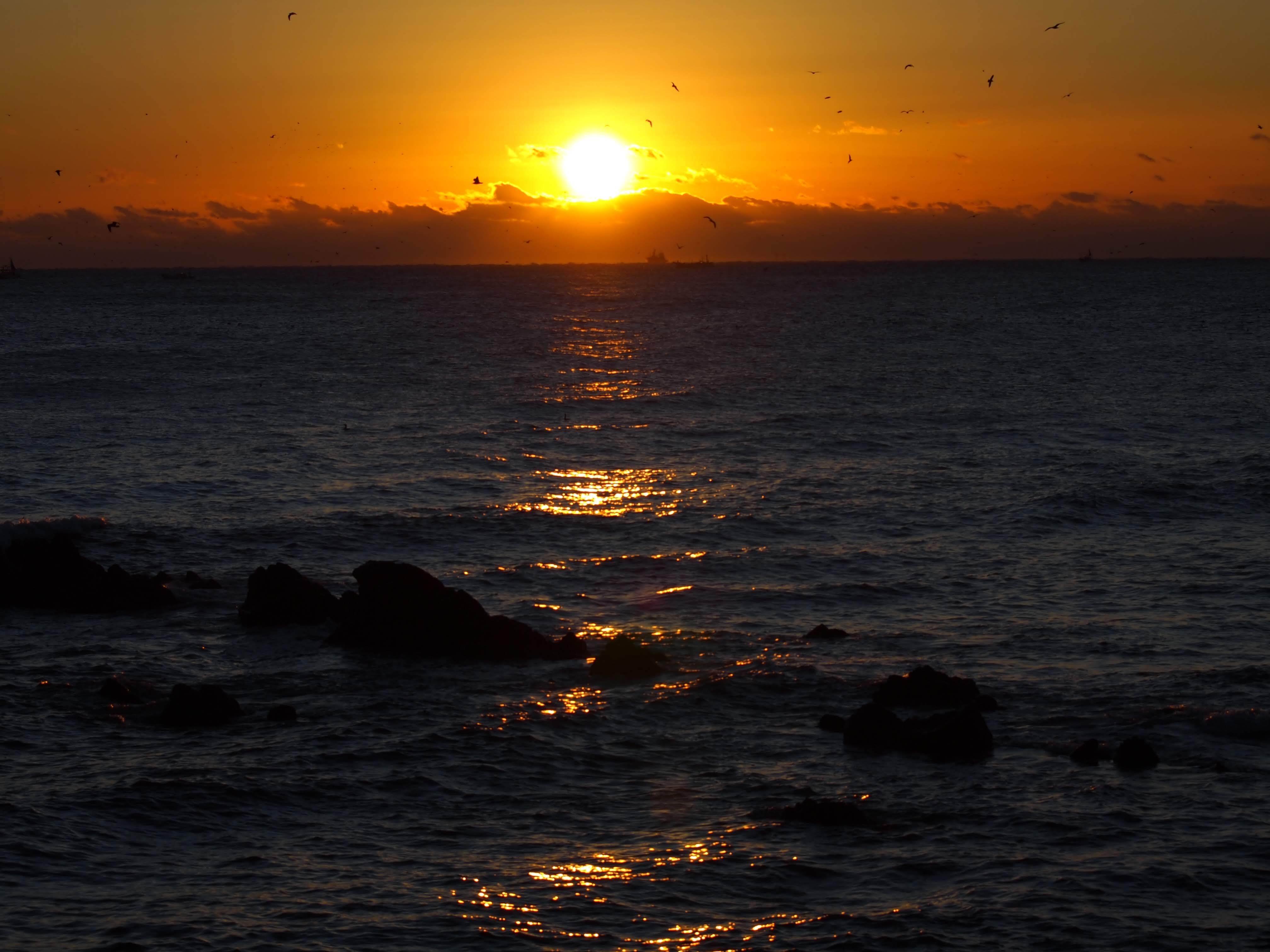 日の出｜team_ueno｜note