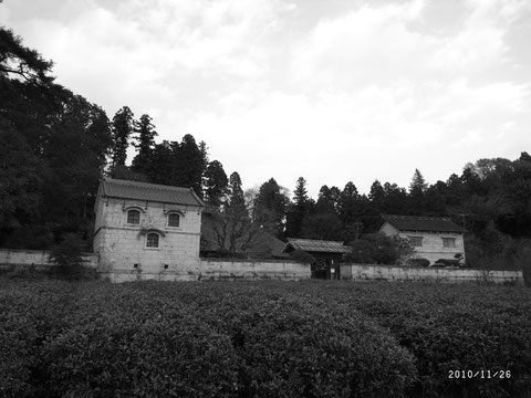 大谷の風景｜koki