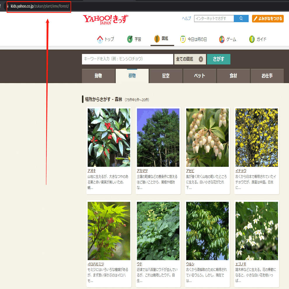 子供向け!Yahoo!きっずから植物図鑑をスクレイピングする | suzikisyouのブログ