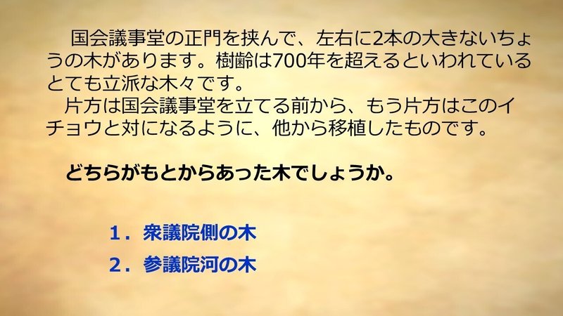 【国会クイズ】第17問 国会議事堂の大公孫樹｜Senator_ISHIDA｜note