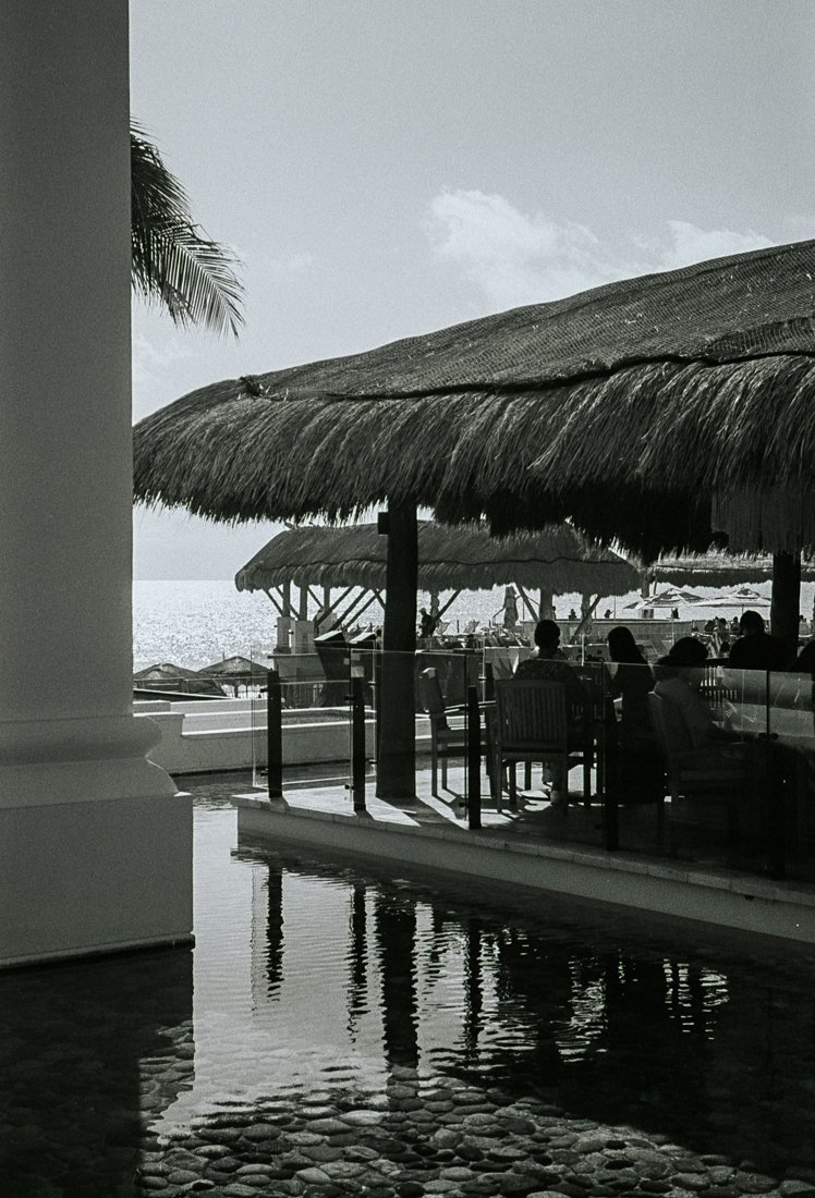 プラス1段の露出 ＜週末自家現像＞｜MOJA MOJA｜note