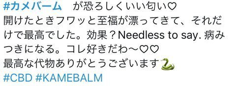 【限定増産】kamerui プレミアムカメバーム｜kamerui公式